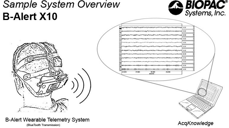 Hardware/Software - CCI Neruo-Cognitive